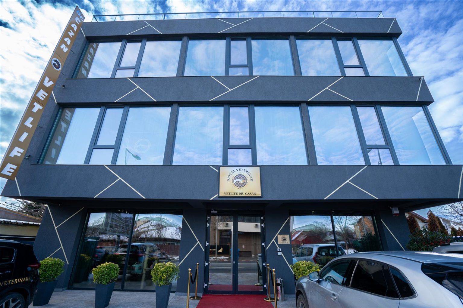 Radiologie veterinară - Spital Veterinar Non-Stop Vetlife Dr. Cazan