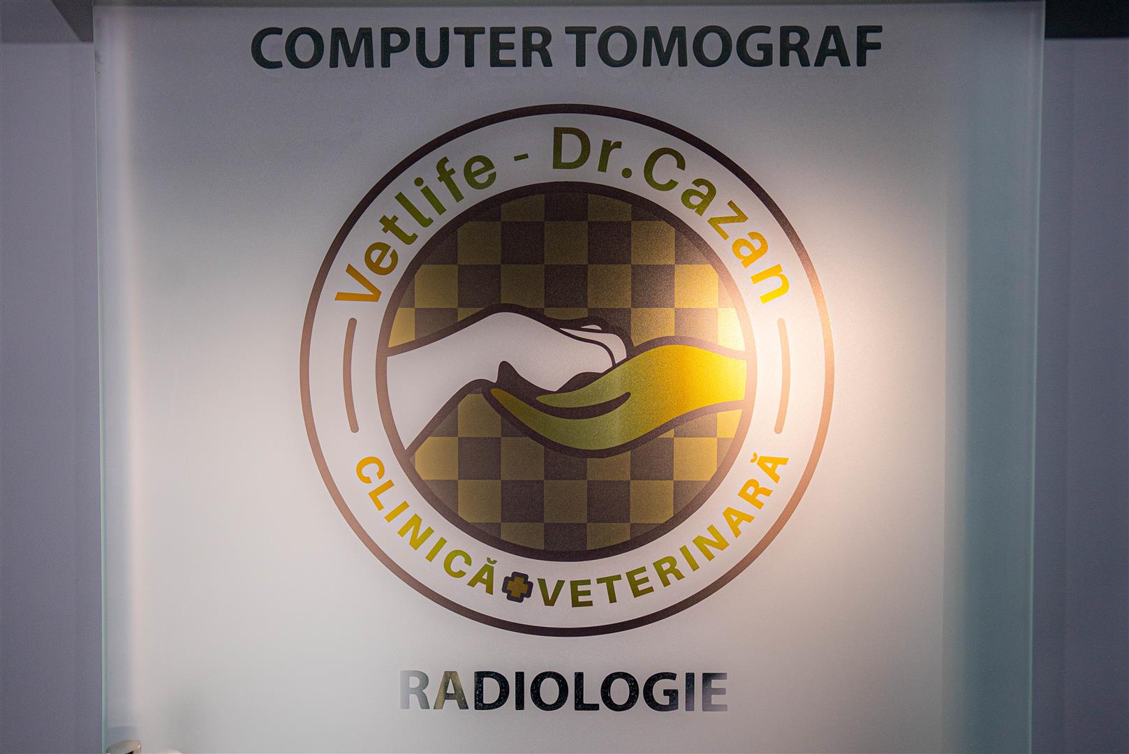 O radiografie pentru animale poate salva viața | Vetlife Dr. Cazan